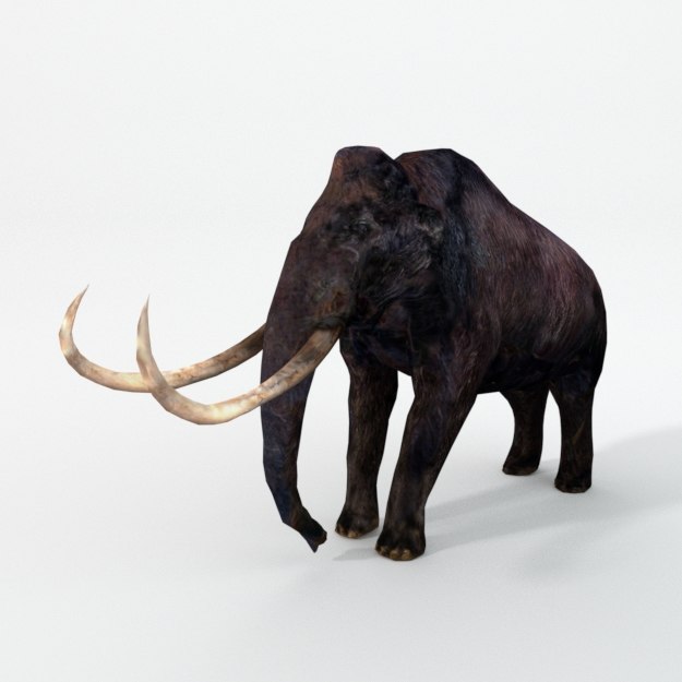 3D model mammoth - TurboSquid 1400302