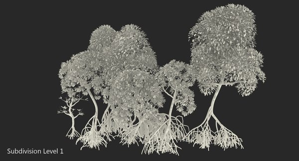 Mangrove tree shrub 3D model - TurboSquid 1400530