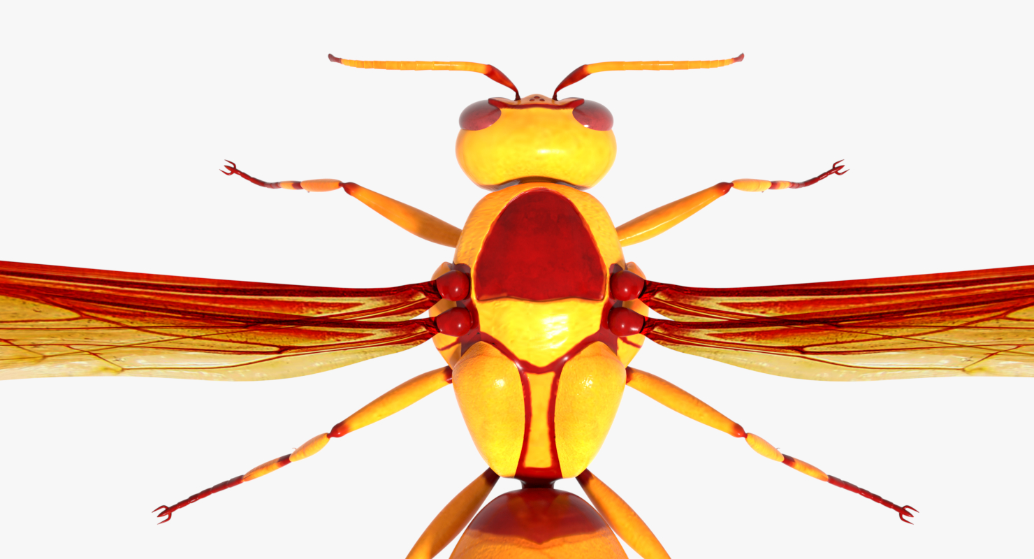 3D executioner wasp model - TurboSquid 1400350