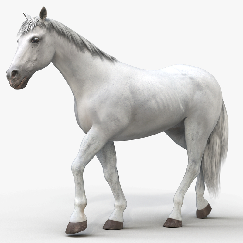 White horse animations 3D model - TurboSquid 1385853