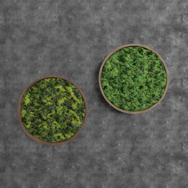 3D model decorative green moss set - TurboSquid 1453561