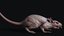 modelo 3d Rata mutante - TurboSquid 1400836
