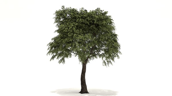 Tree STL Models for Download | TurboSquid