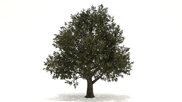 Tree STL Models for Download | TurboSquid