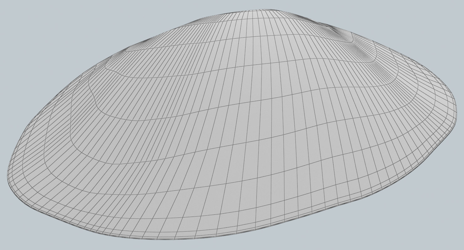 Clam shell 3D model - TurboSquid 1401445