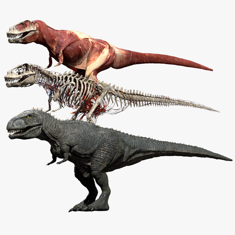 Giganoto giganotosaurus saurus 3D model - TurboSquid 1386298
