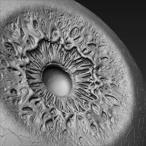 Free 3D Eye Models | TurboSquid