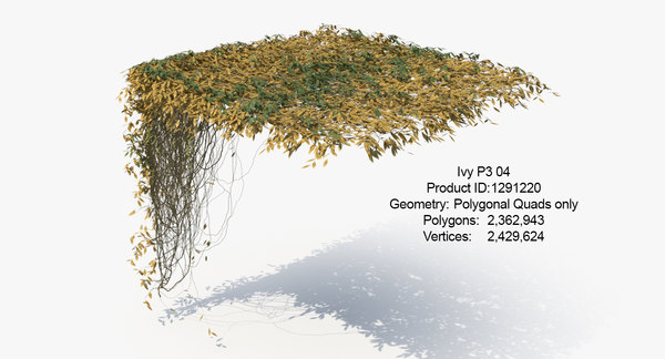 Ivy 03 model - TurboSquid 1402129