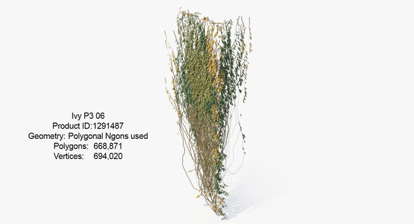 Ivy 03 model - TurboSquid 1402129