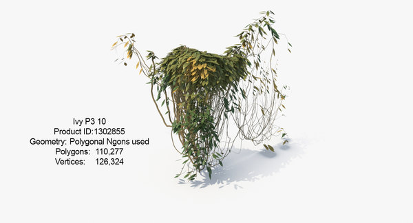 Ivy 03 model - TurboSquid 1402129