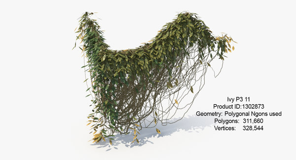 Ivy 03 model - TurboSquid 1402129