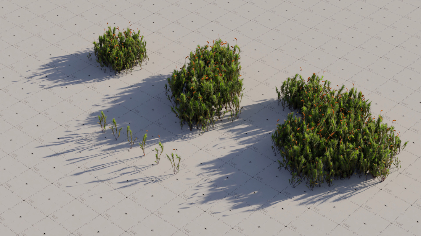 3D model moss 7 species stones - TurboSquid 1403092