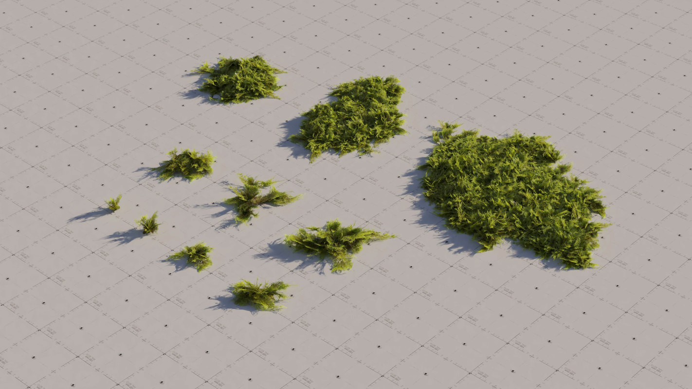 3D model moss 7 species stones - TurboSquid 1403092