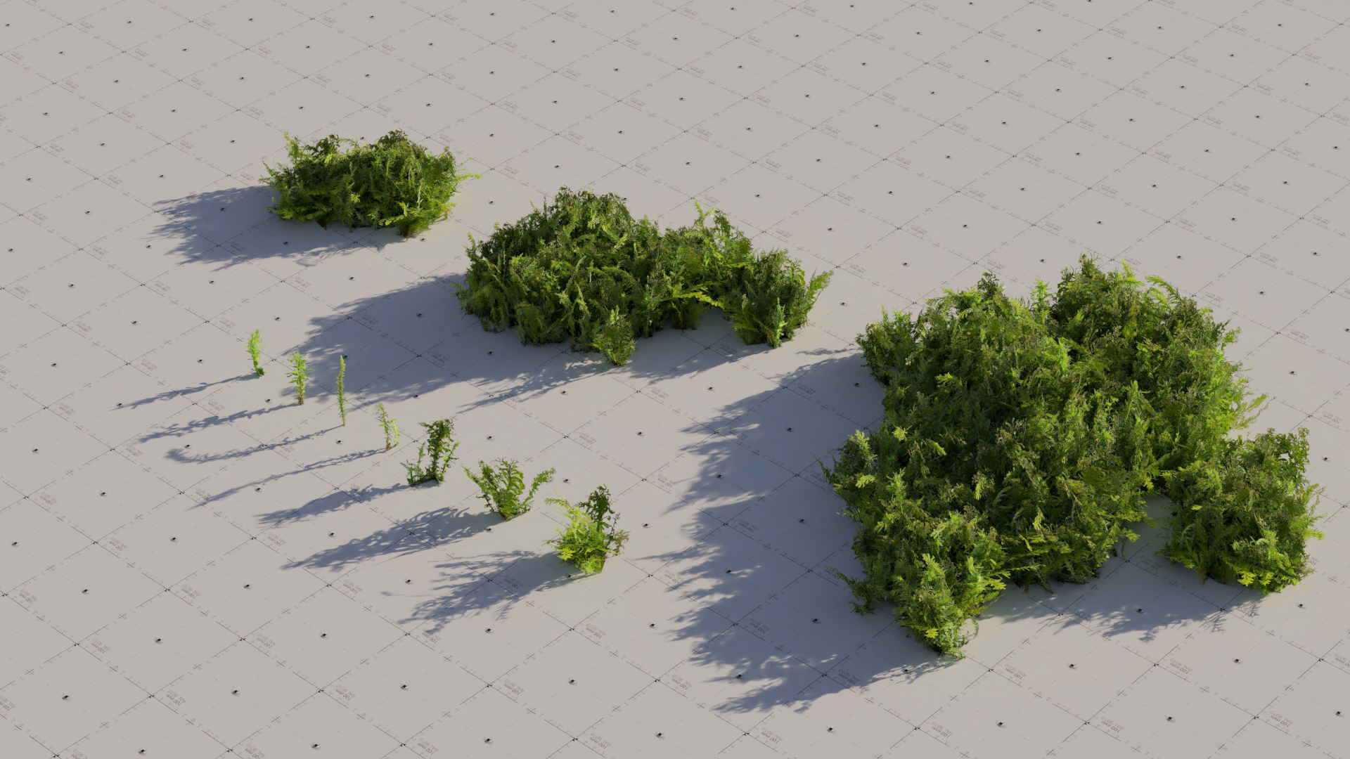 3D model moss 7 species stones - TurboSquid 1403092
