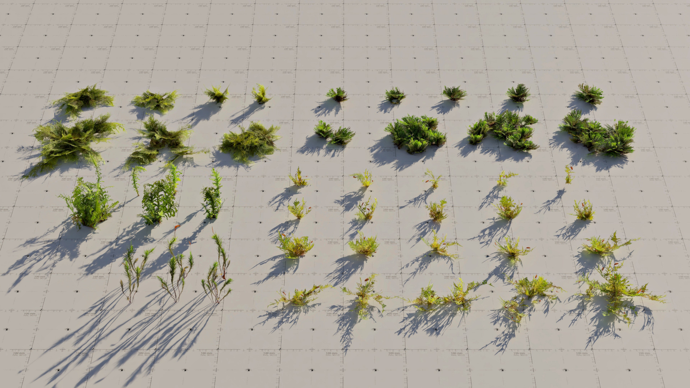 3D model moss 7 species stones - TurboSquid 1403092