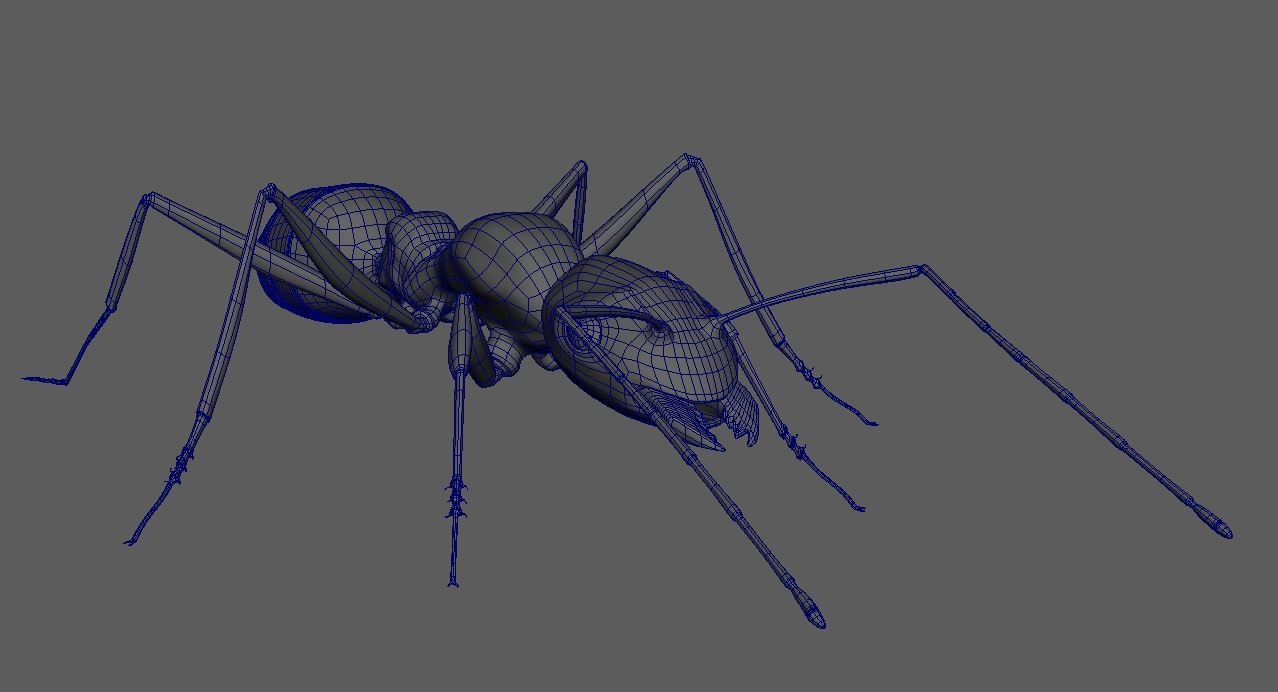 modèle 3D de Fourmi 3D Rig - TurboSquid 1404187