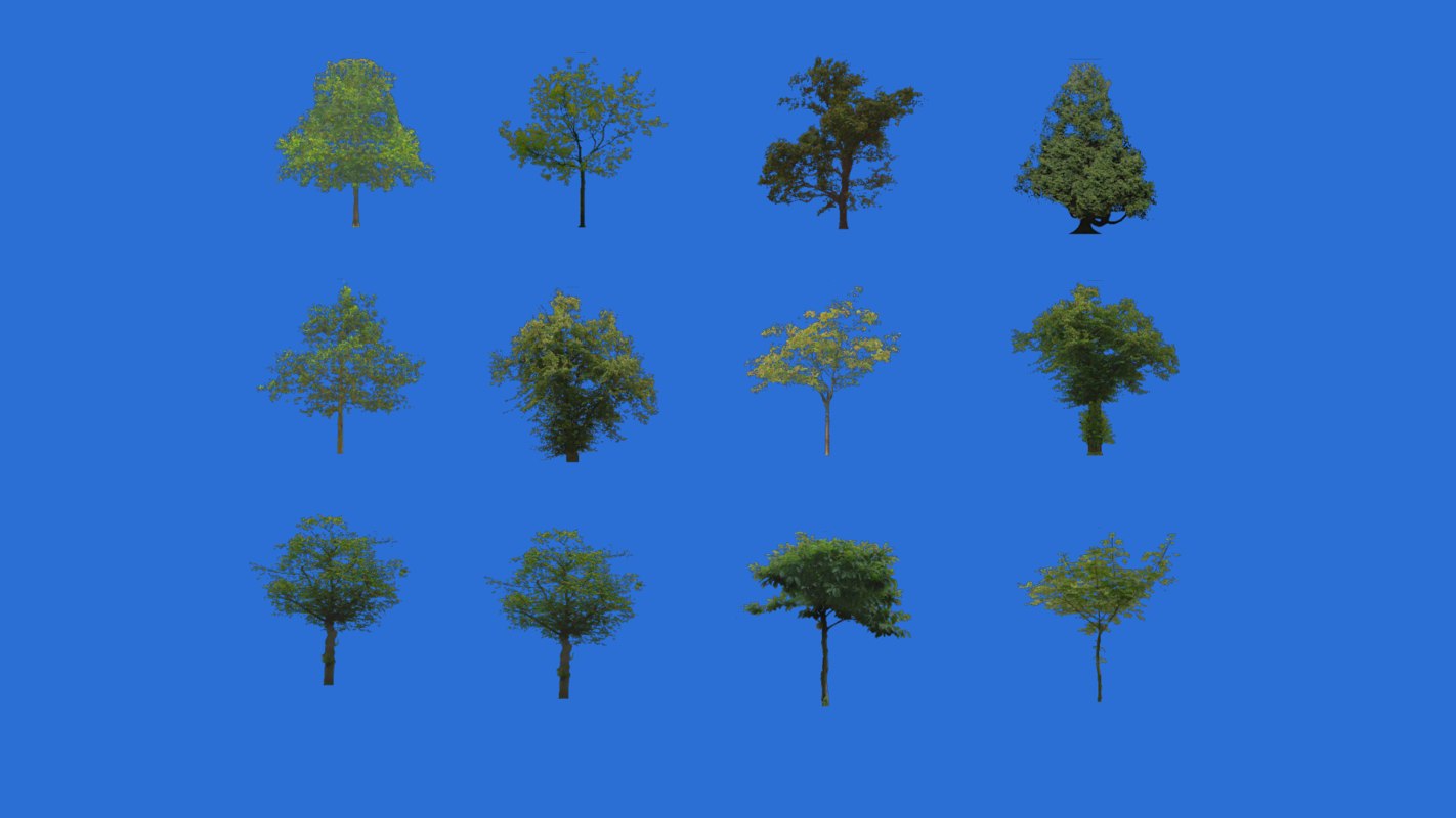 Texture Microsoft DirectDraw Surface tree texcher game