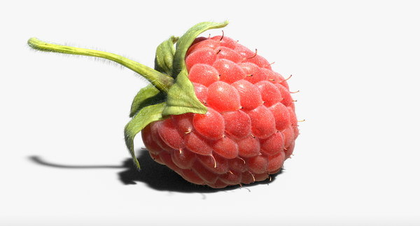 3D raspberry realistic real - TurboSquid 1404425
