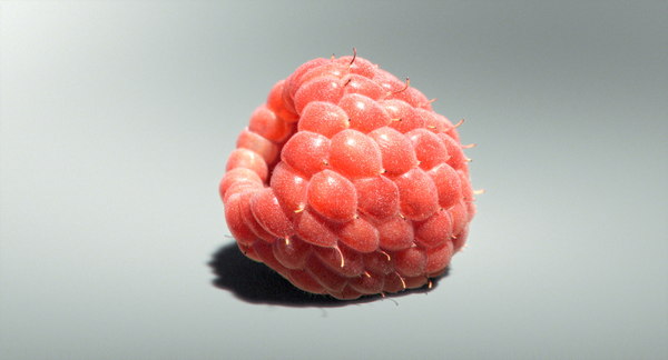 3D raspberry realistic real - TurboSquid 1404425