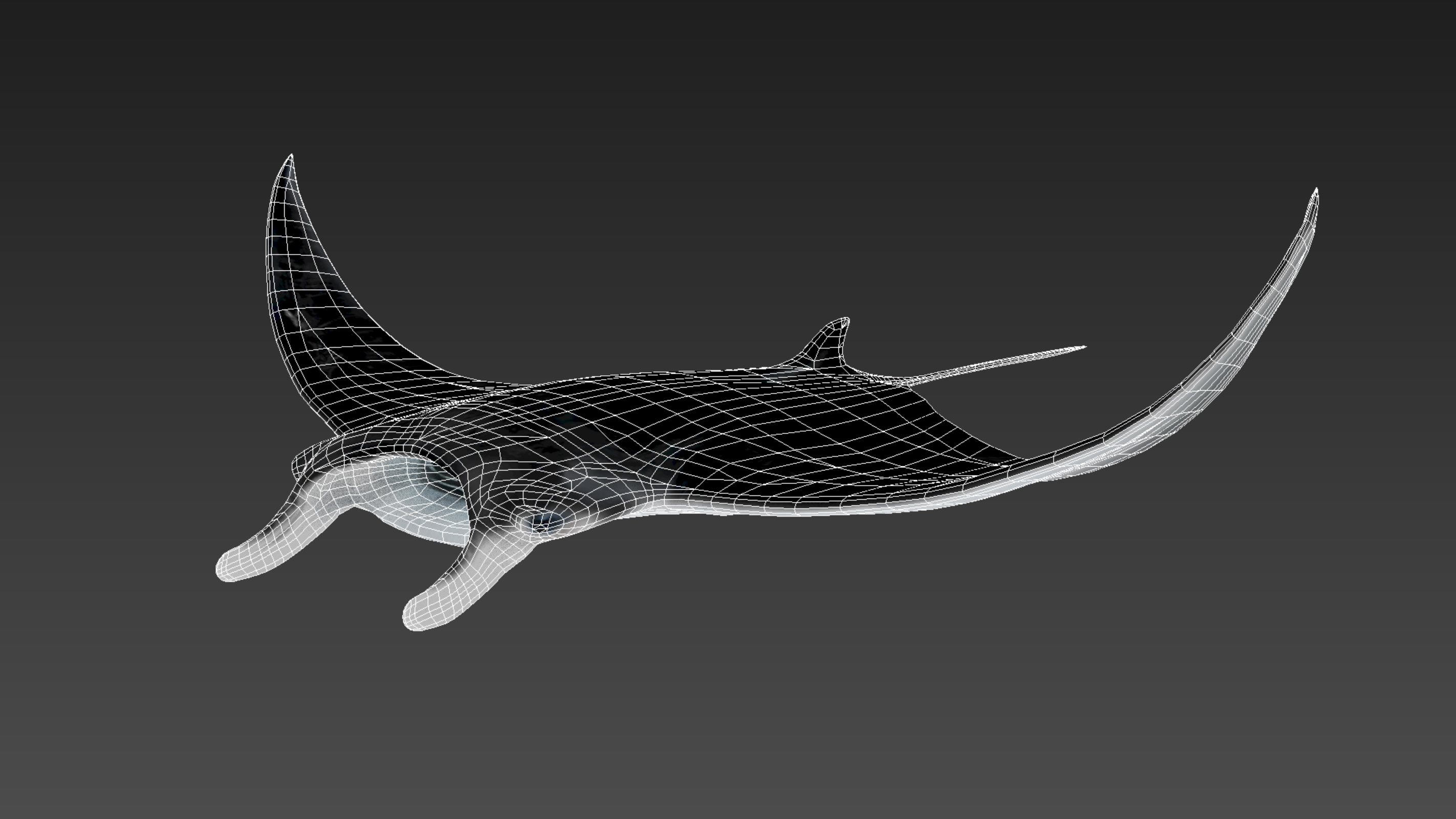 Manta animation 3D model - TurboSquid 1404736