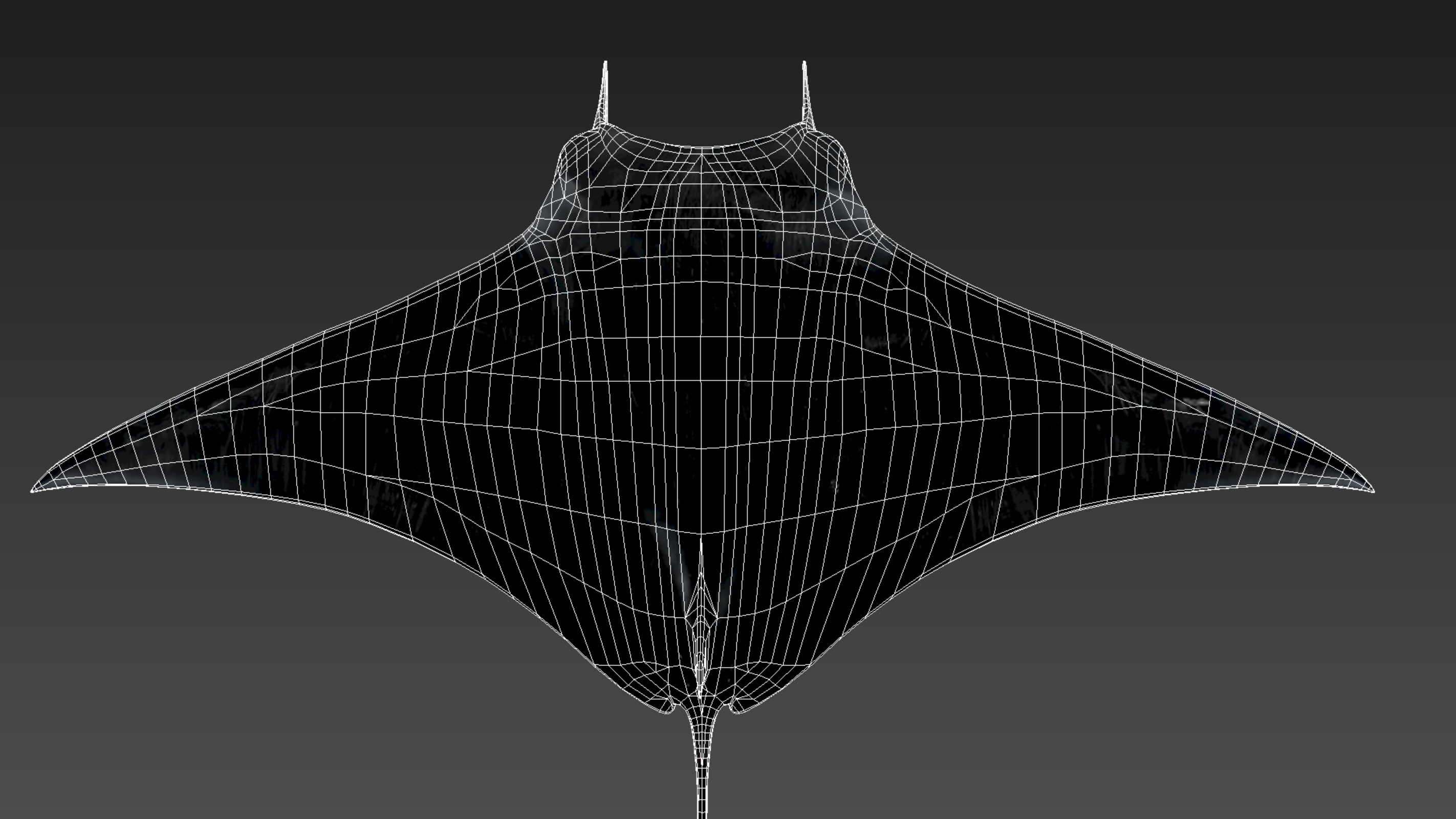 Manta animation 3D model - TurboSquid 1404736