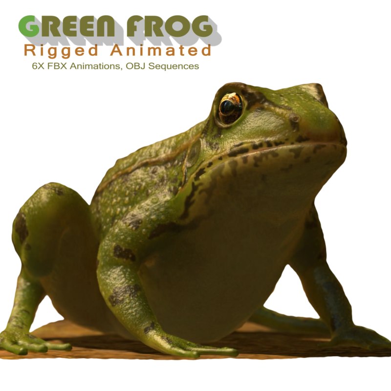 Frog animations 3D model - TurboSquid 1398880