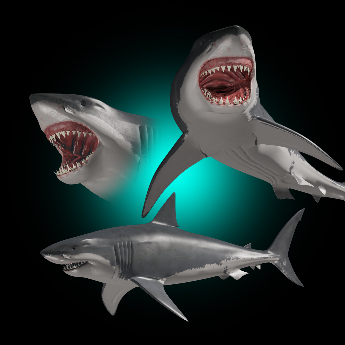 JAWS - 3D animierter Weißer Hai 3D-Modell - TurboSquid 1392169