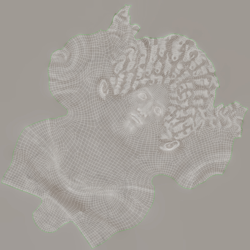 Flavian woman bust 3D - TurboSquid 1407070