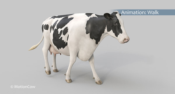 Cow holstein pro animations 3D model - TurboSquid 1407255