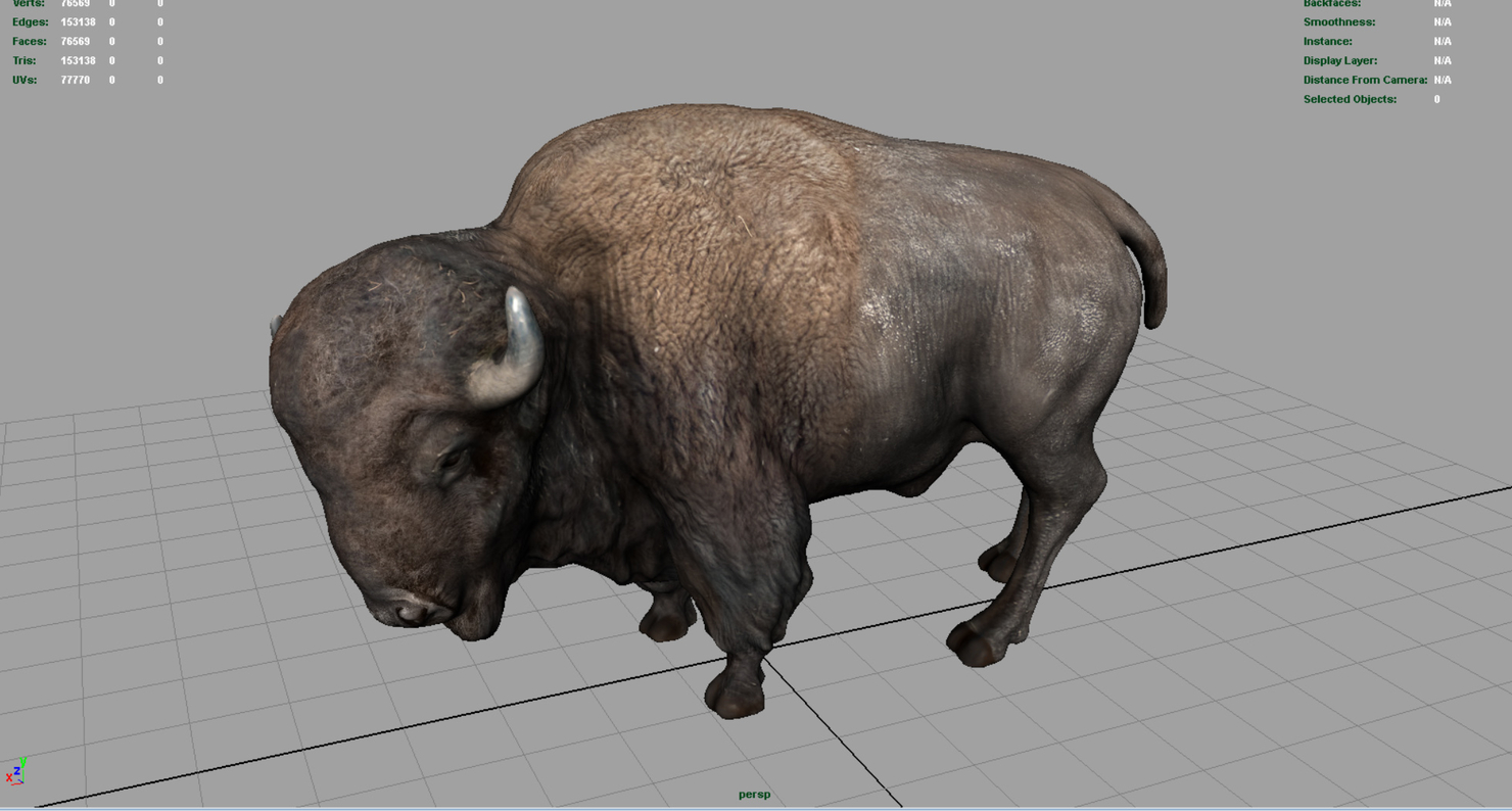 American bison 3D model - TurboSquid 1407362