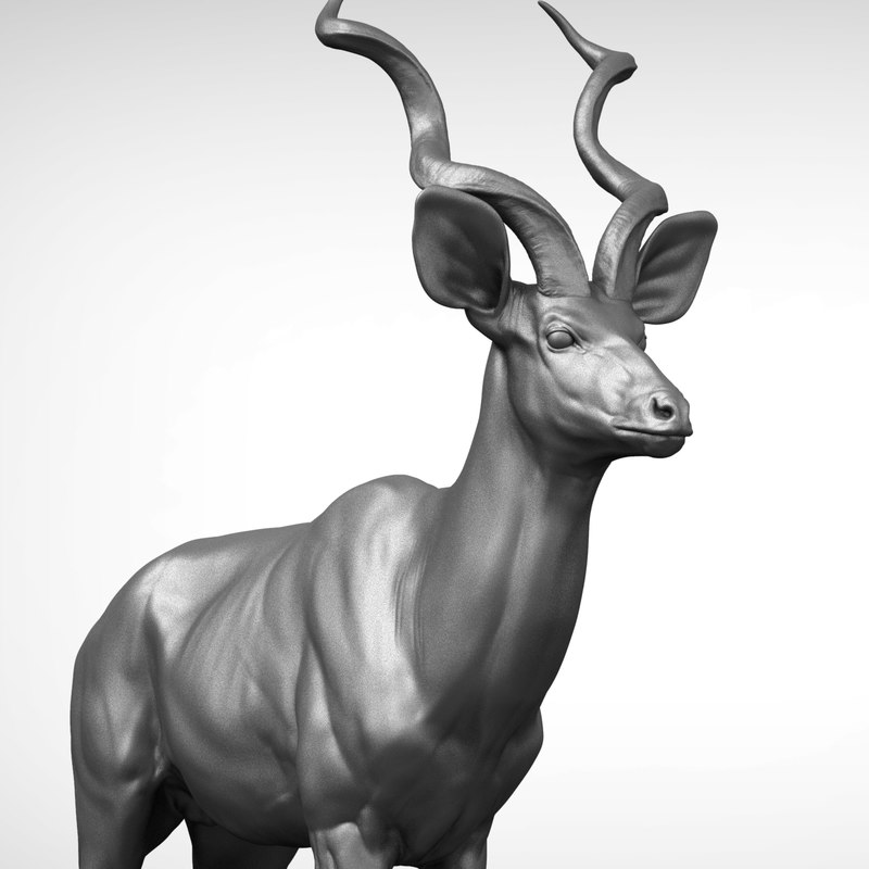 Greater kudu 3D model - TurboSquid 1407711