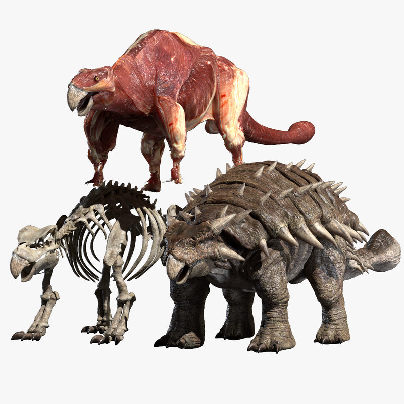 V-ray rigged muscle model - TurboSquid 1407835