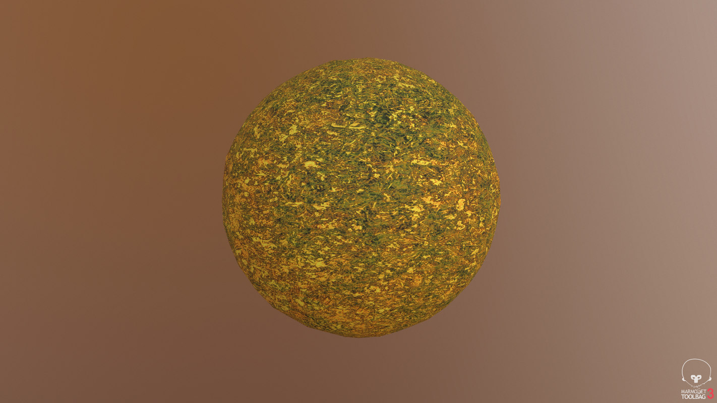 Texture JPEG Grass Dead Seamless