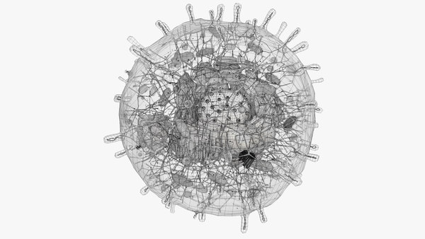 Human cell nucleus 3D model - TurboSquid 1408314