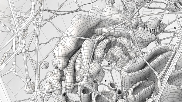 Human Cell Nucleus 3d Model Turbosquid 1408314