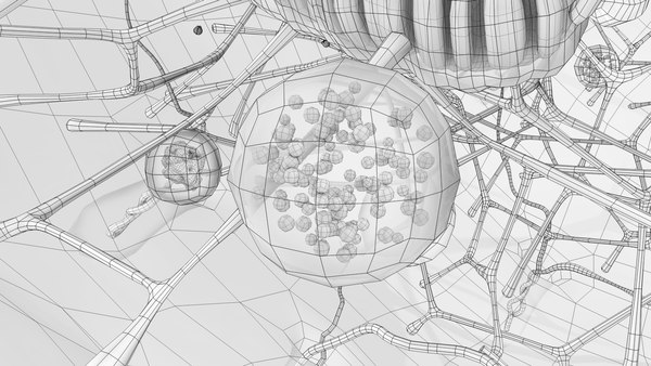 Human cell nucleus 3D model - TurboSquid 1408314