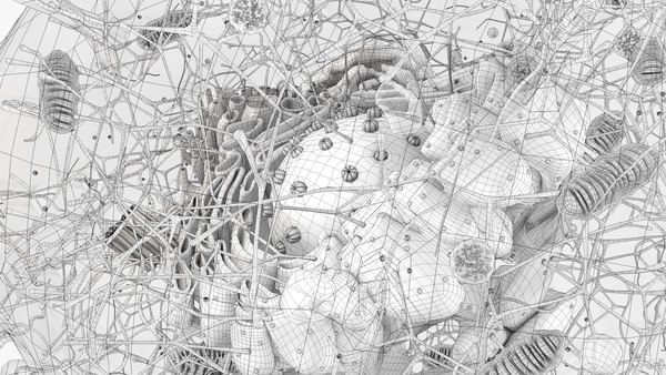 Human cell nucleus 3D model - TurboSquid 1408314