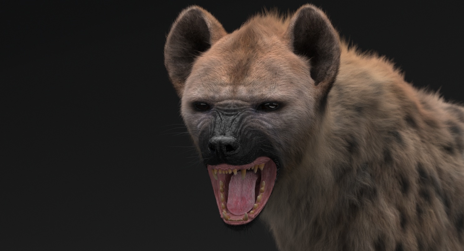 3D model hyena rigged - TurboSquid 1408399