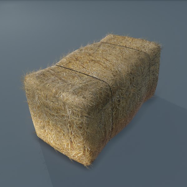 3D model hay bale - TurboSquid 1408559