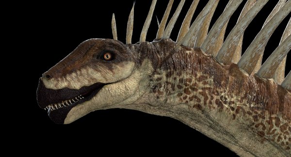 Realistic rig model - TurboSquid 1409824