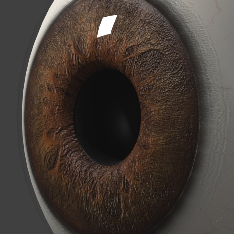 Eyeball eye model - TurboSquid 1409957