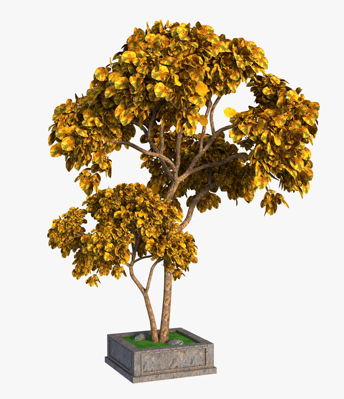 3D tree autumn - TurboSquid 1410090