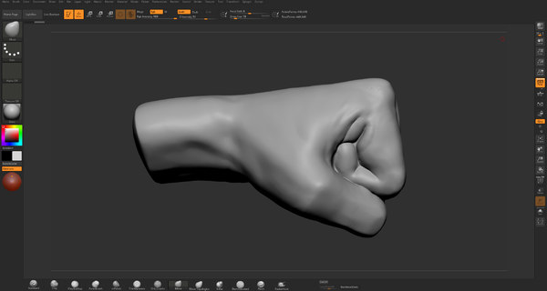 3D fist ztl zbrush model - TurboSquid 1410235