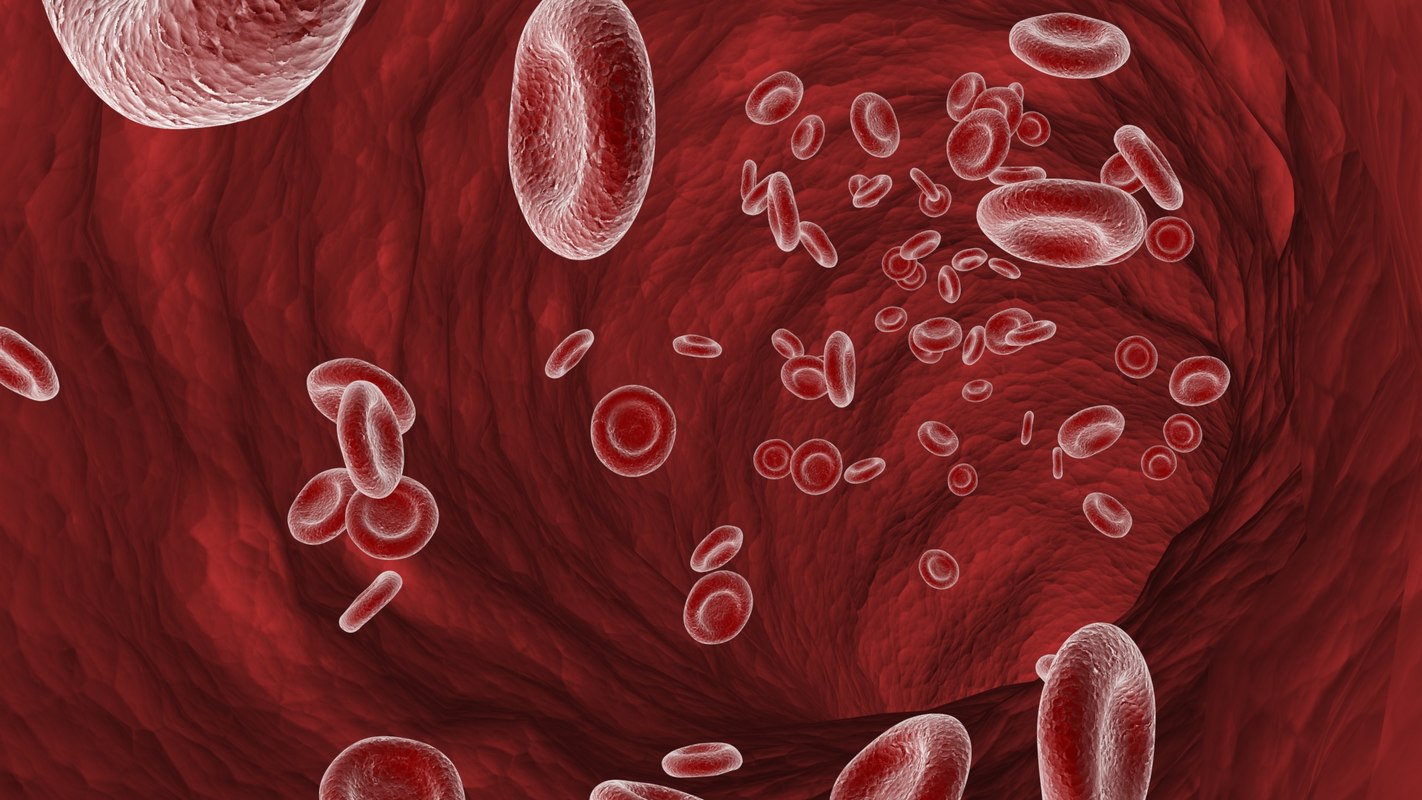 3D blood vessels model - TurboSquid 1410291