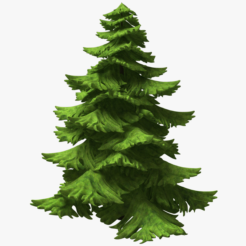 fir tree c4d