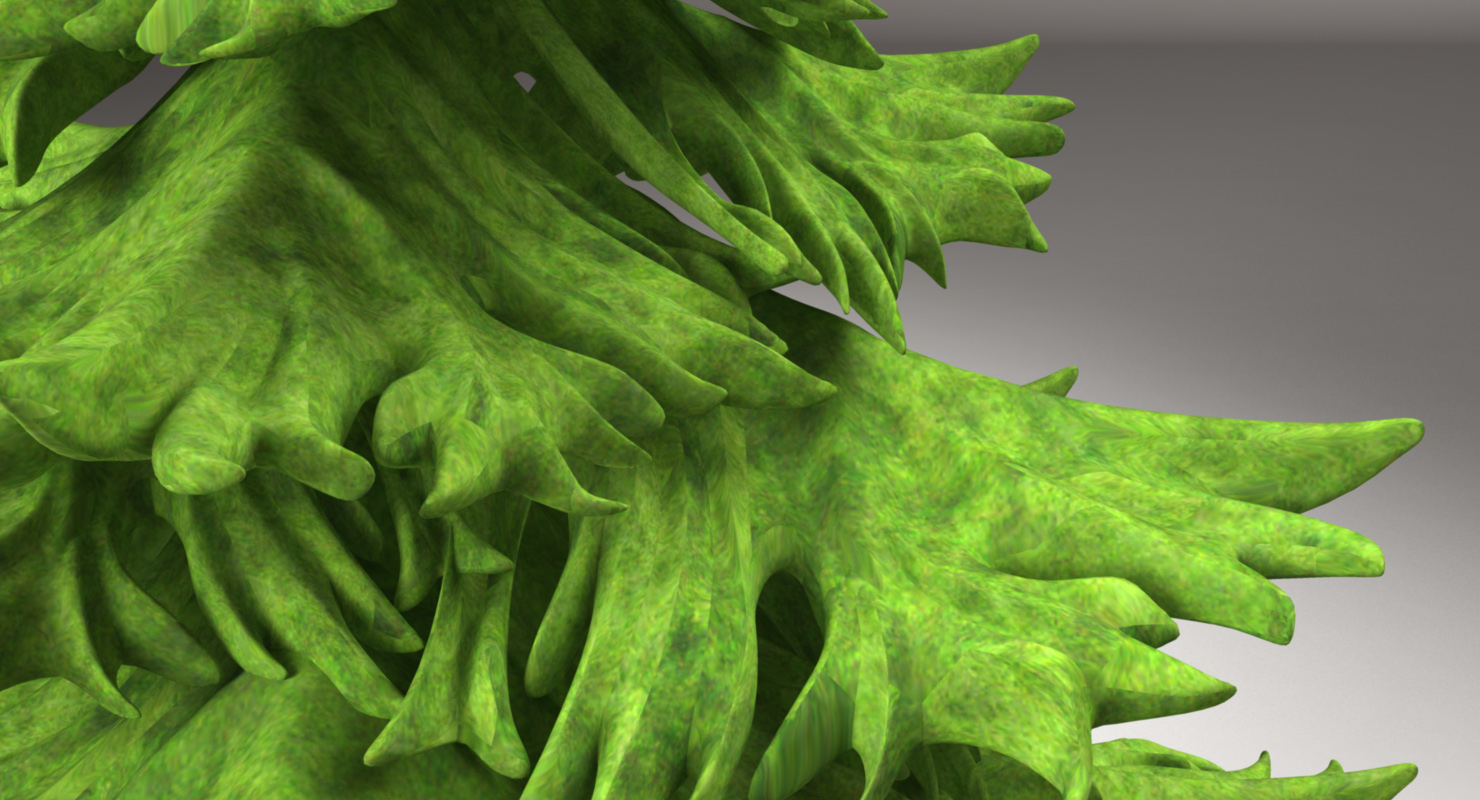 fir tree c4d