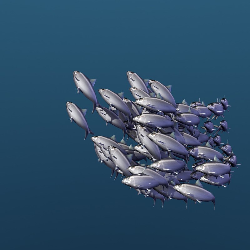 3D school sardine swimming fishes - TurboSquid 1411424