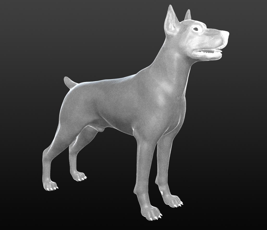 Doberman base mesh model - TurboSquid 1411575