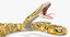 3D yellow python snake attack - TurboSquid 1412938