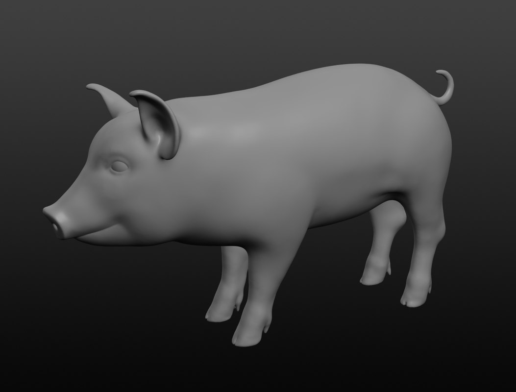 3D piggy base mesh model - TurboSquid 1412331